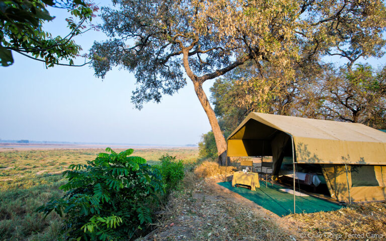 Nyungwe National Park - Africa Geographic