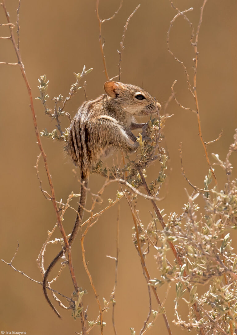 Photographer of the Year 2022 Weekly Selection: Week 12 - Africa Geographic