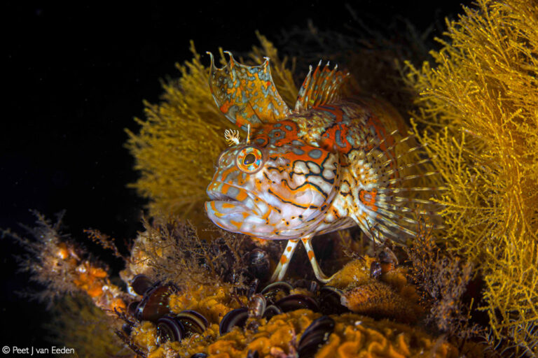 Photographer of the Year 2022 Weekly Selection: Week 11 - Africa Geographic