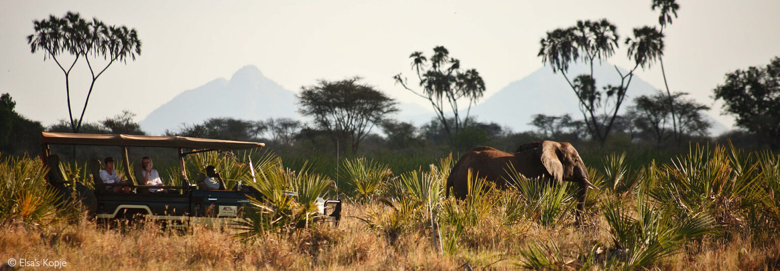 Meru National Park - Africa Geographic