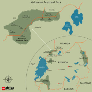 Trek for mountain gorillas in Volcanoes National Park