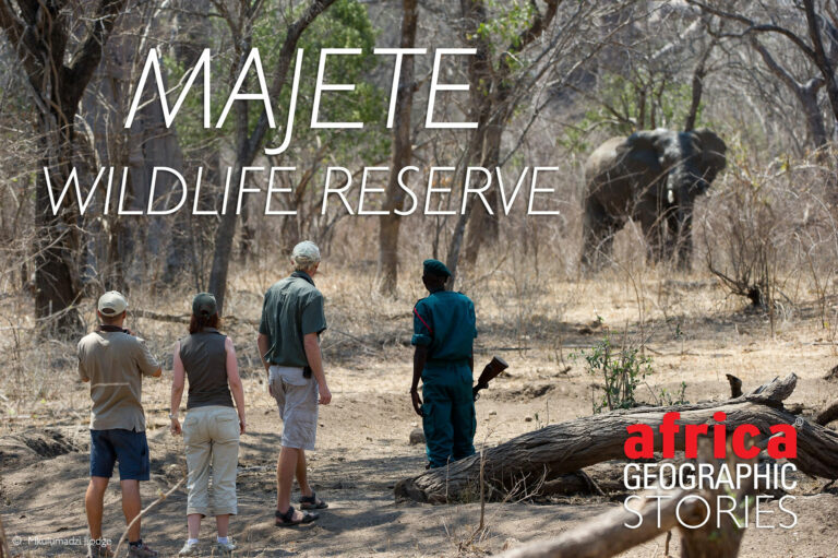 Majete Wildlife Reserve - Africa Geographic