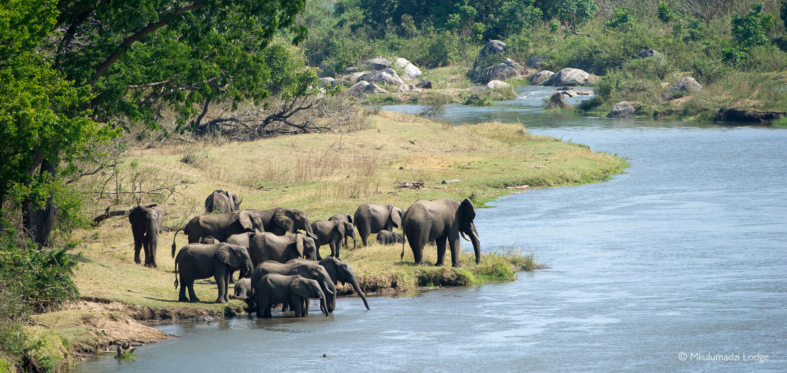 Majete Wildlife Reserve - Africa Geographic