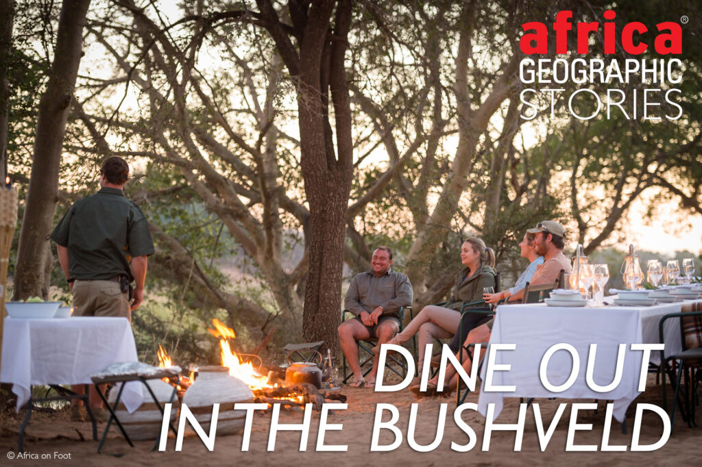 Dine out in the bushveld - Africa Geographic