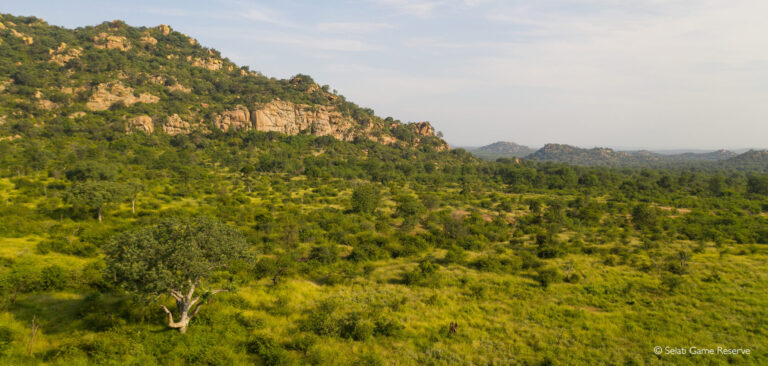 Selati Game Reserve - Africa Geographic