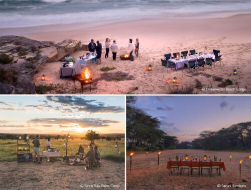 Dine out in the bushveld - Africa Geographic