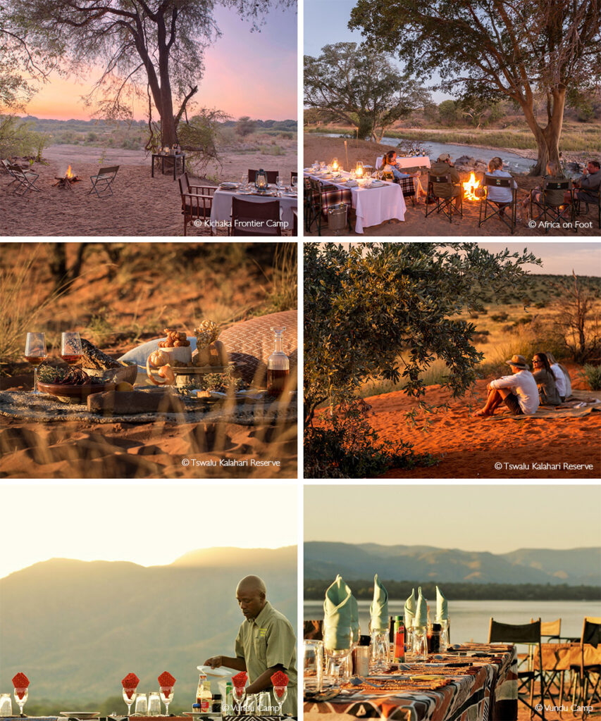 Dine out in the bushveld - Africa Geographic