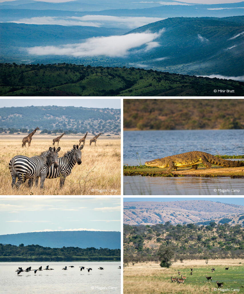 Akagera National Park - Africa Geographic