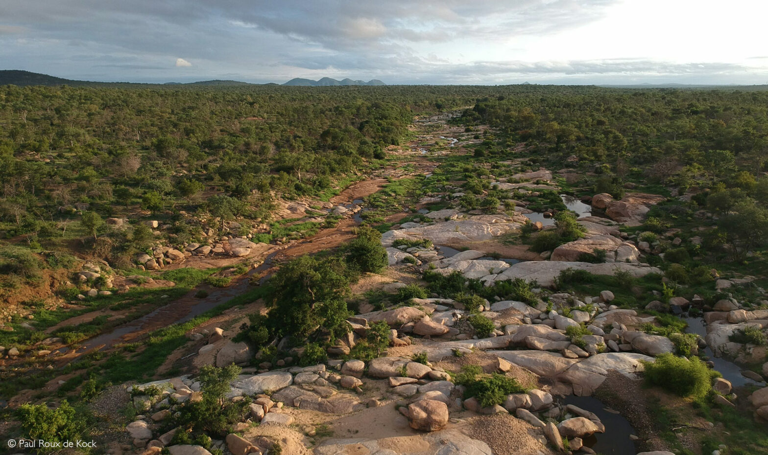 Selati Game Reserve - Africa Geographic