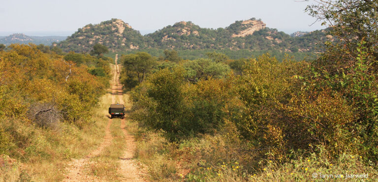 Selati Game Reserve - Africa Geographic