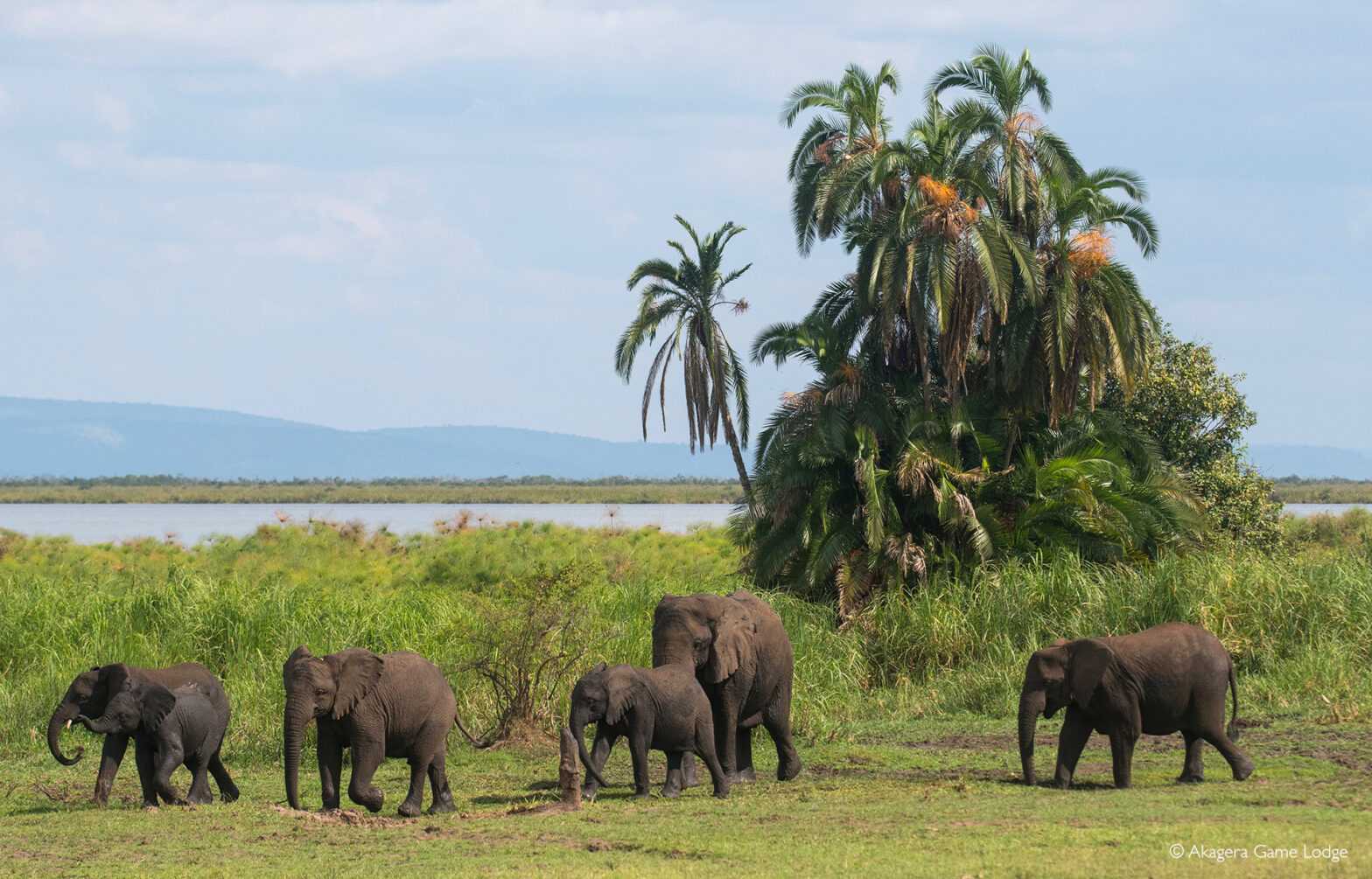 Akagera National Park - Africa Geographic