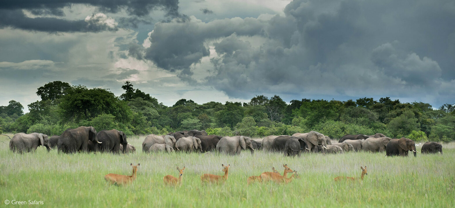 Kafue National Park - Africa Geographic