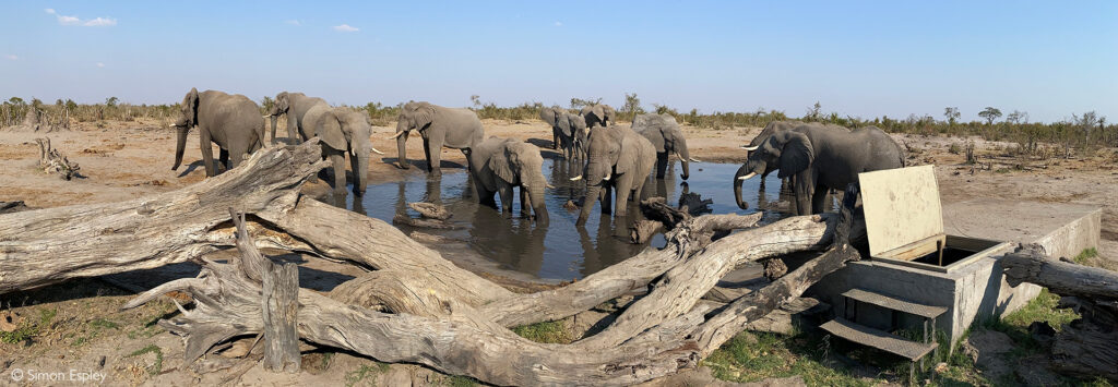 Wall-to-wall wildlife - Khwai Private Reserve - Africa Geographic