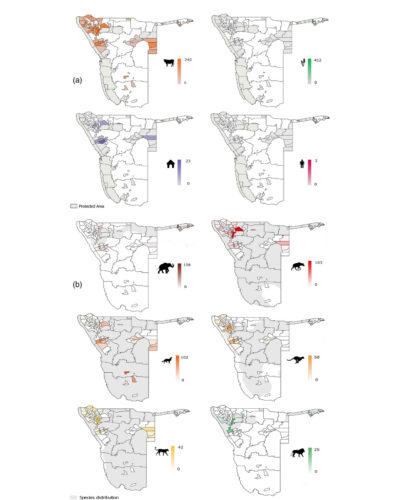 Human-wildlife conflict: long-term trends in Namibia - Africa Geographic
