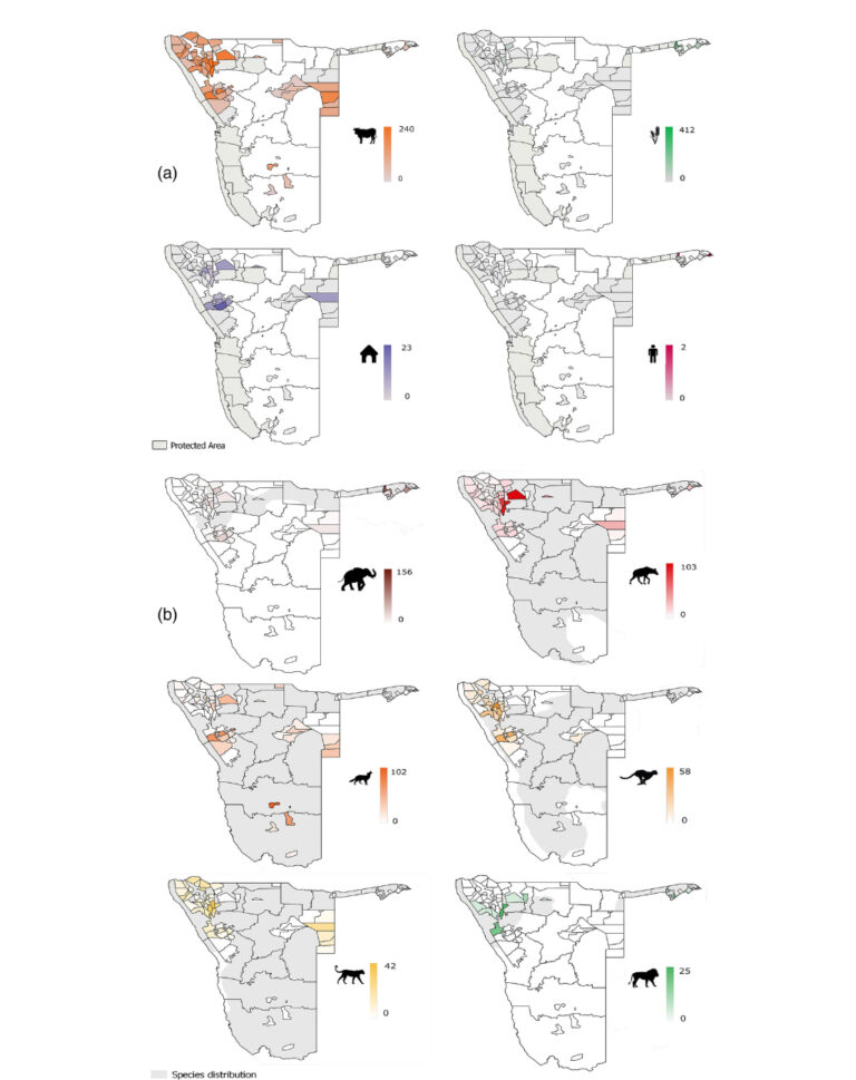 Human-wildlife conflict: long-term trends in Namibia - Africa Geographic
