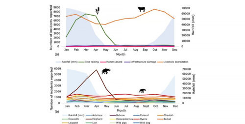 Human-wildlife conflict: long-term trends in Namibia - Africa Geographic