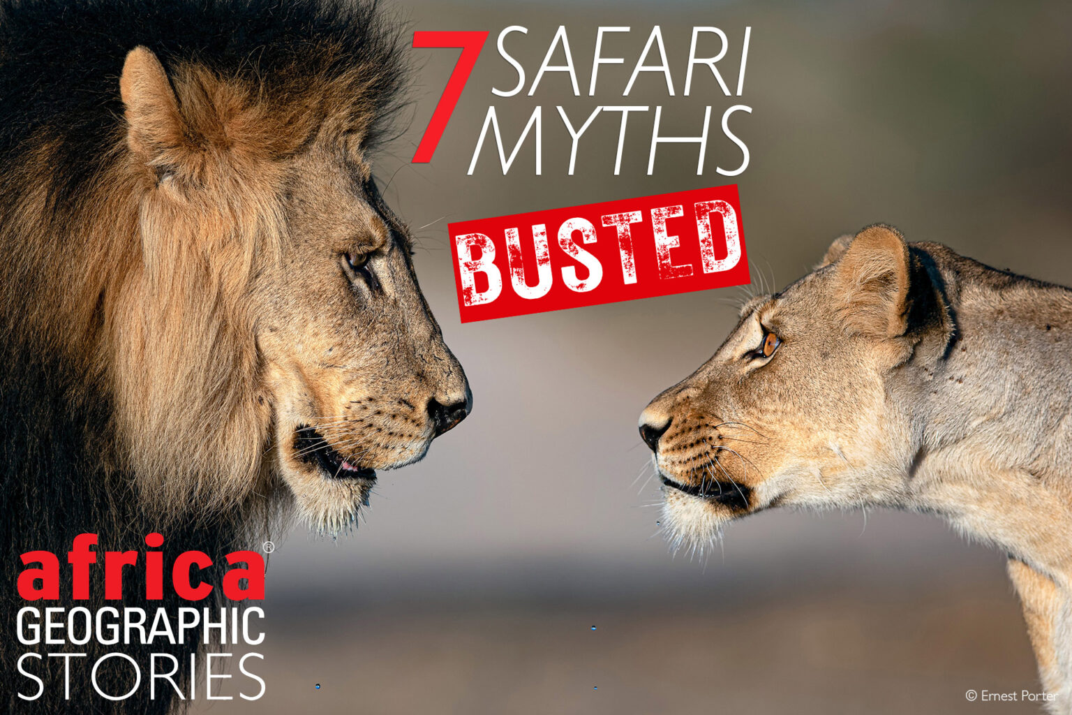 Seven safari myths - busted - Africa Geographic