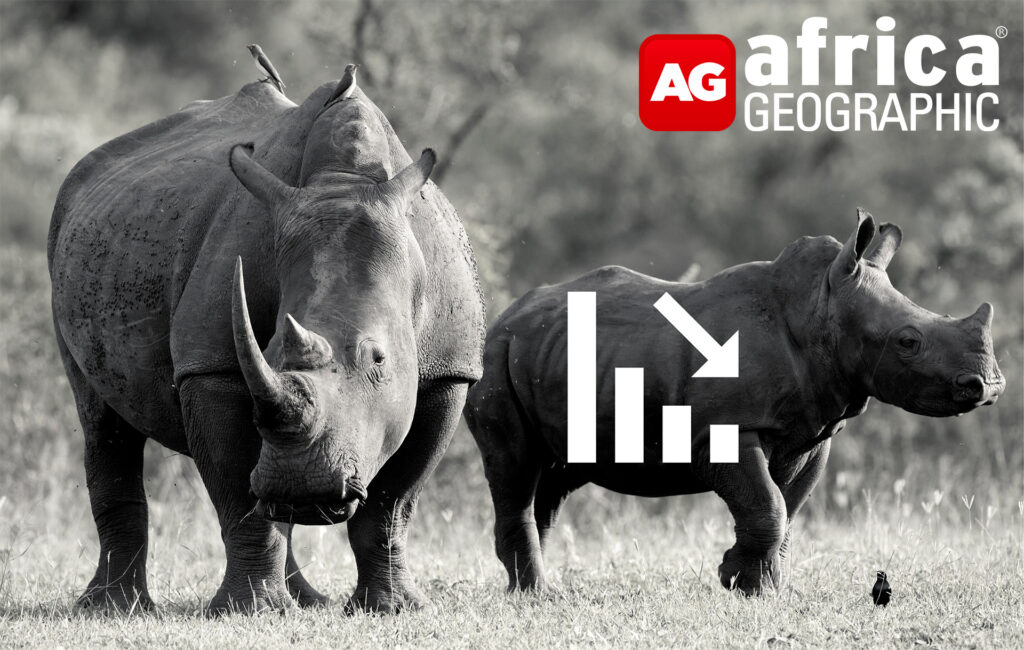 Poaching Archives - Africa Geographic