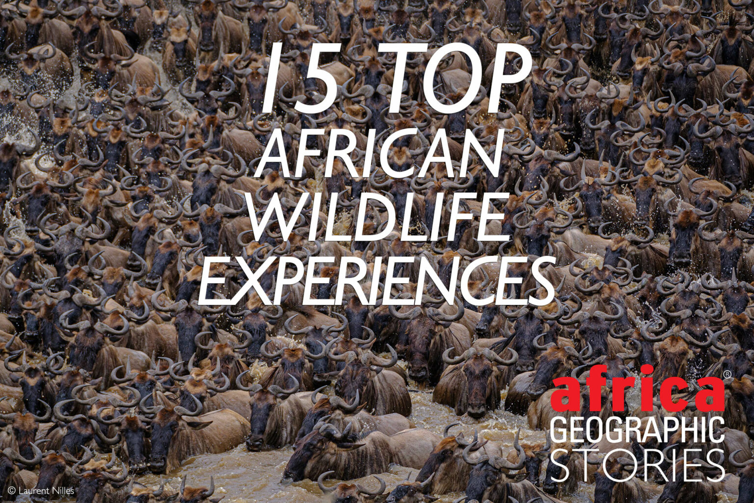 15 top African wildlife experiences - Africa Geographic