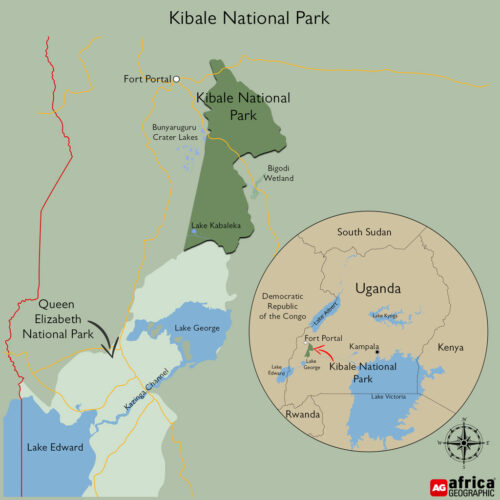 Kibale National Park - Africa Geographic
