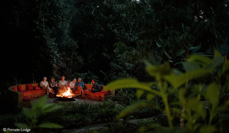 Kibale National Park - Africa Geographic