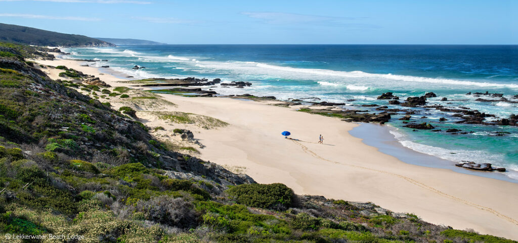 De Hoop Nature Reserve - Africa Geographic