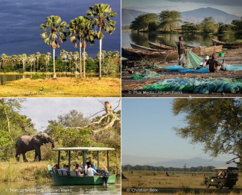 Liwonde National Park - Africa Geographic