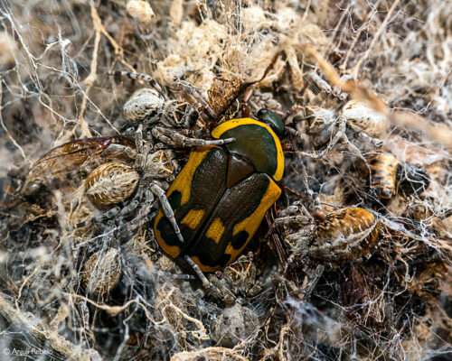 Photographer of the Year 2023 Weekly Selection: Week 3 - Africa Geographic