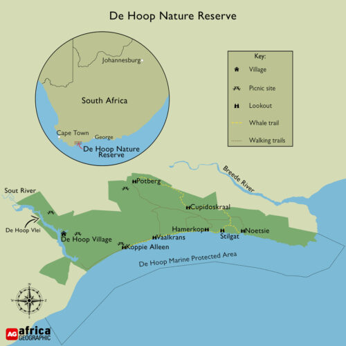 De Hoop Nature Reserve - Africa Geographic