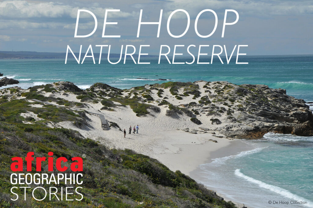 De Hoop Nature Reserve - Africa Geographic
