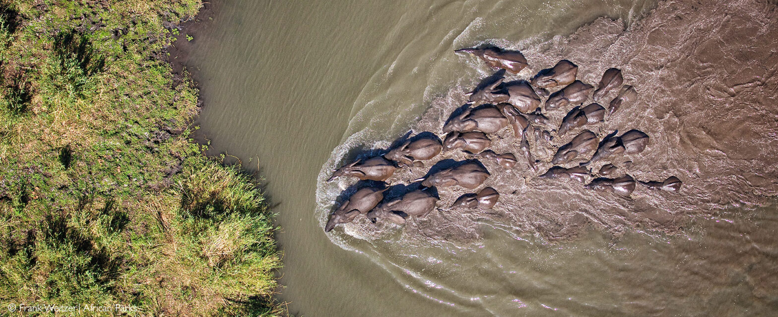Liwonde National Park - Africa Geographic
