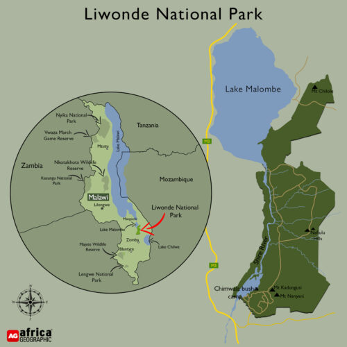 Liwonde National Park - Africa Geographic