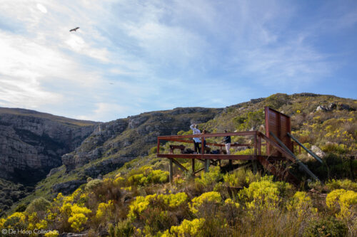 De Hoop Nature Reserve - Africa Geographic