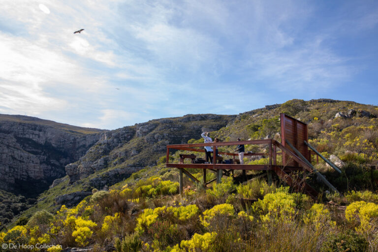 De Hoop Nature Reserve - Africa Geographic