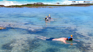 De Hoop Nature Reserve - Africa Geographic