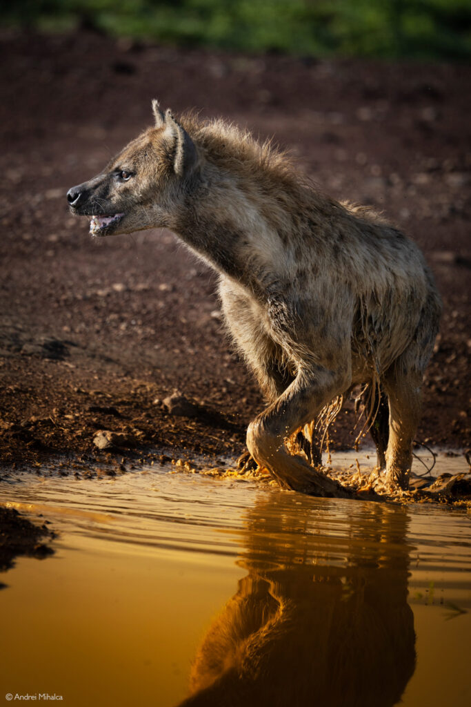 Photographer of the Year 2023 Weekly Selection: Week 5 - Africa Geographic