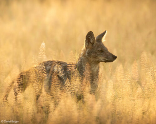 Photographer of the Year 2023 Weekly Selection: Week 6 - Africa Geographic