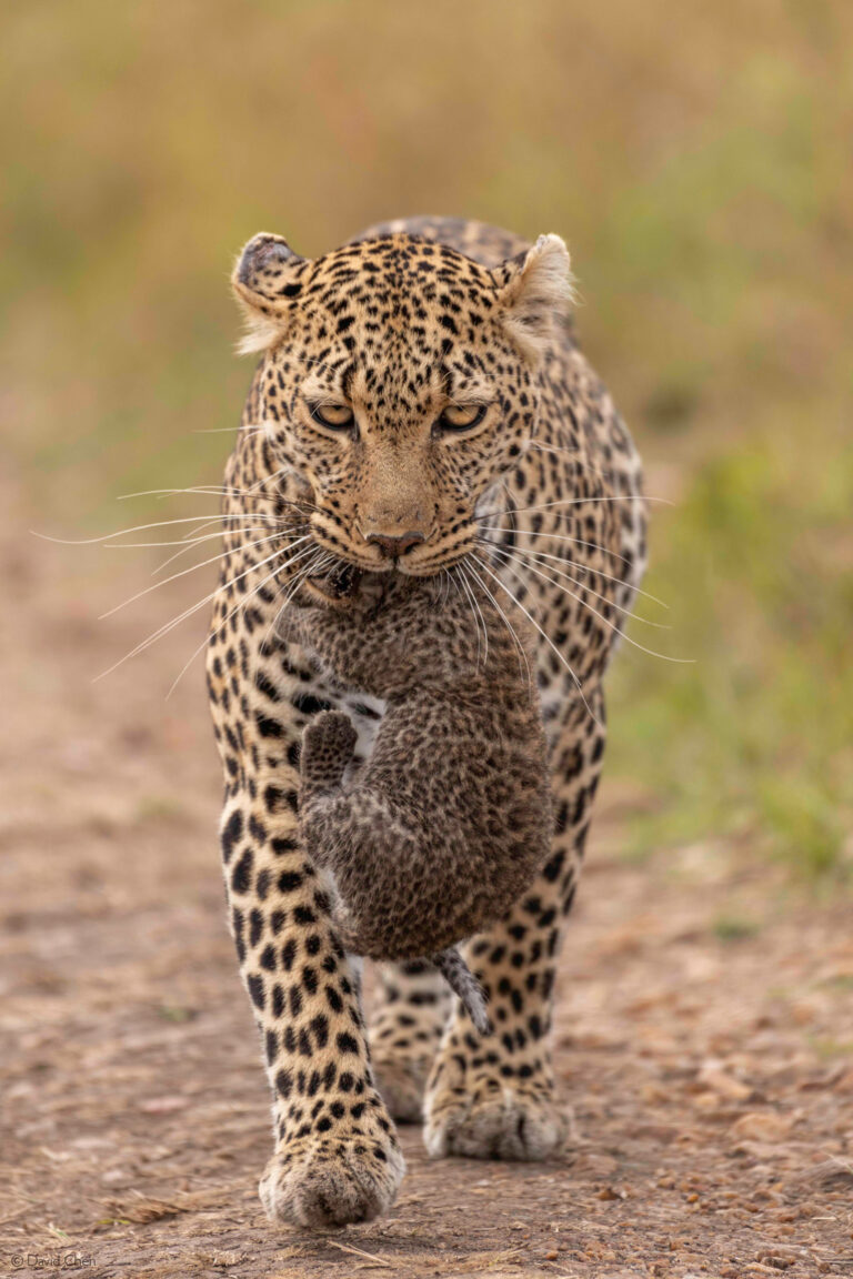 Photographer of the Year 2023 Weekly Selection: Week 5 - Africa Geographic