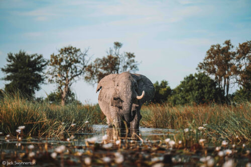 Photographer of the Year 2023 Weekly Selection: Week 4 - Africa Geographic