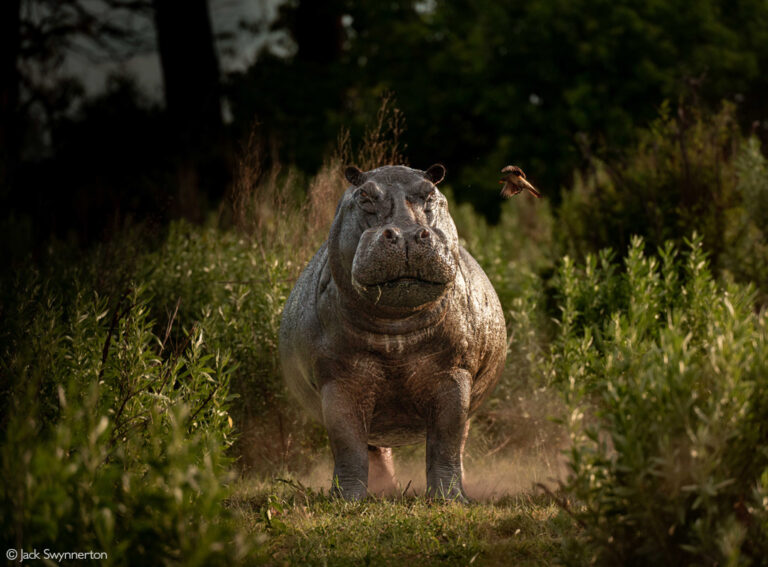 Photographer of the Year 2023 Weekly Selection: Week 5 - Africa Geographic