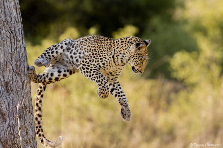 Photographer of the Year 2023 Weekly Selection: Week 6 - Africa Geographic