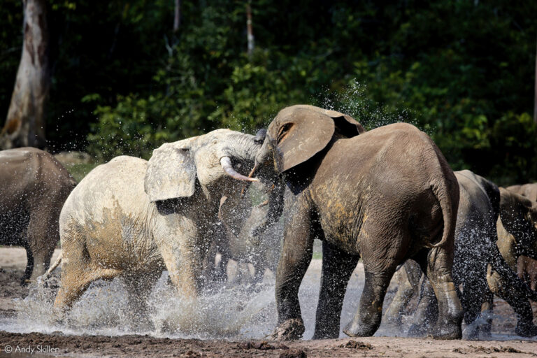 Photographer of the Year 2023 Weekly Selection: Week 9 - Africa Geographic