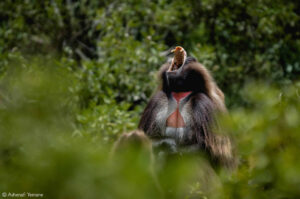 Photographer of the Year 2023 Weekly Selection: Week 9 - Africa Geographic