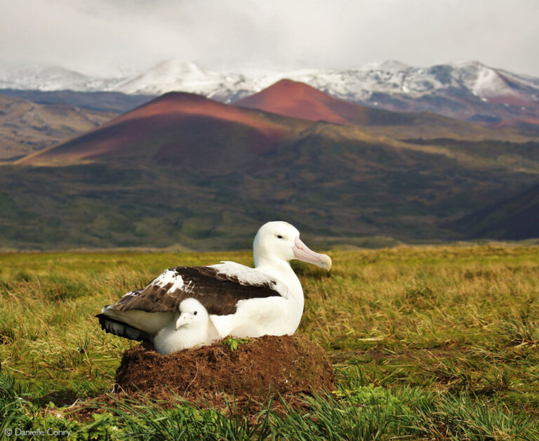 Photographer of the Year 2023 Weekly Selection: Week 11 - Africa Geographic