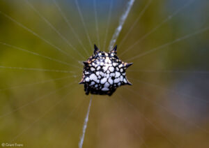 Photographer of the Year 2023 Weekly Selection: Week 9 - Africa Geographic