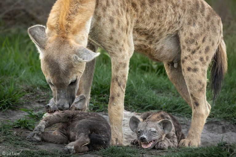 Photographer of the Year 2023 Weekly Selection: Week 11 - Africa Geographic