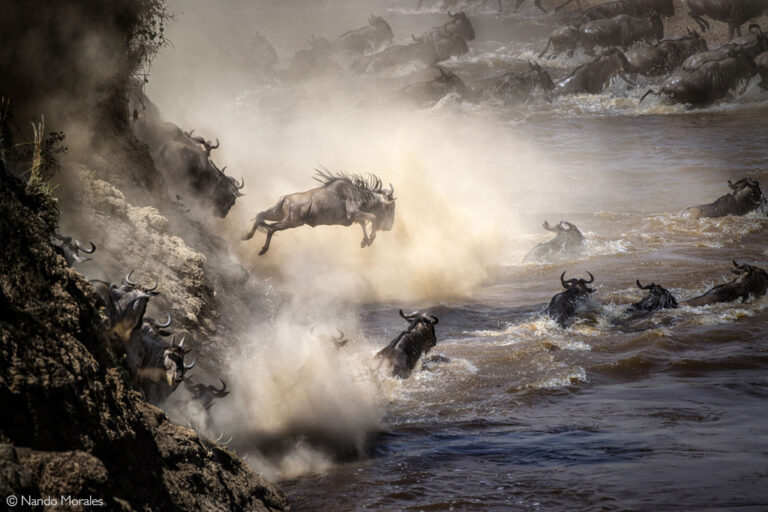 Photographer of the Year 2023 Weekly Selection: Week 11 - Africa Geographic