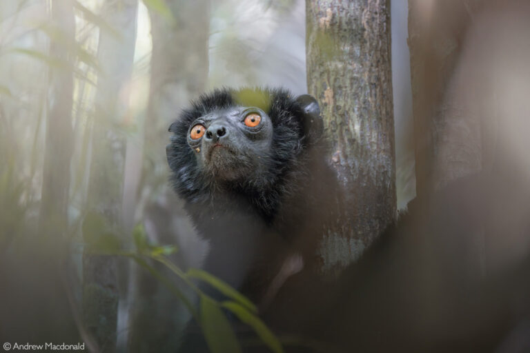Photographer of the Year 2023 Winners - Africa Geographic