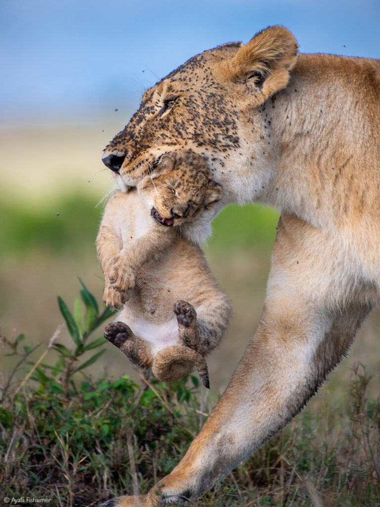 Photographer of the Year 2023 Weekly Selection: Week 12 - Gallery 2 ...