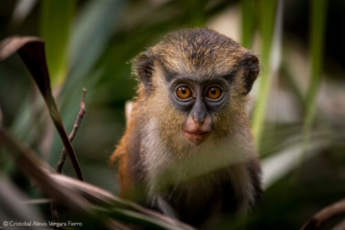 Photographer of the Year 2023 Weekly Selection: Week 12 - Gallery 2 ...
